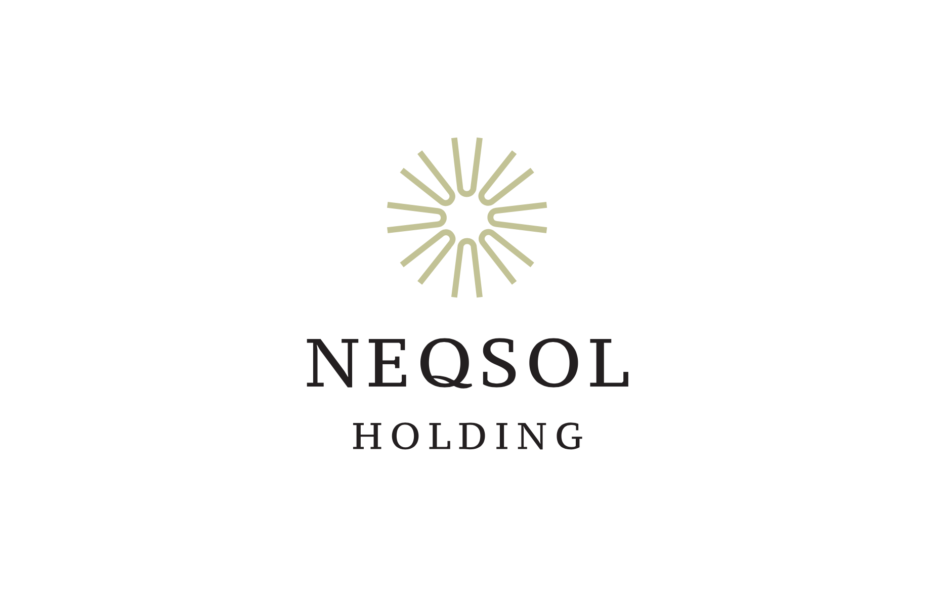 NEQSOL Holding